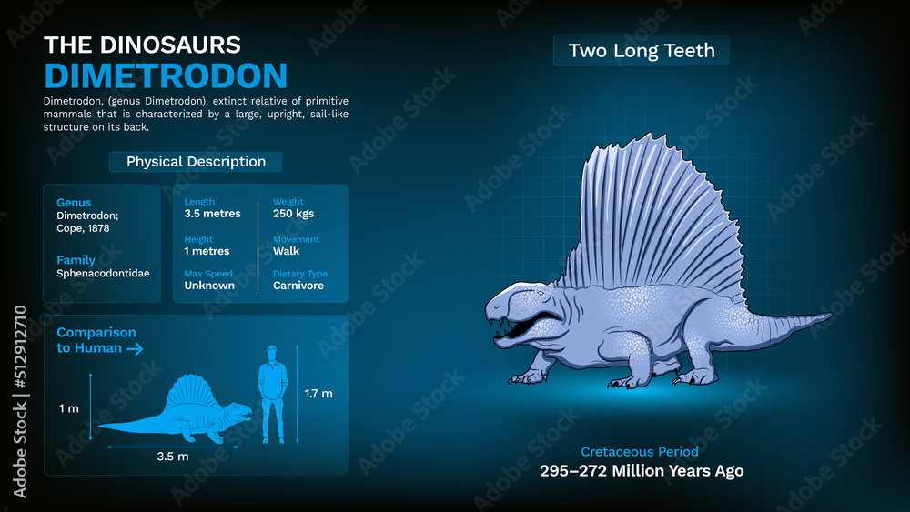 Description and Physical Characteristics of Dimetrodon -Vector ...