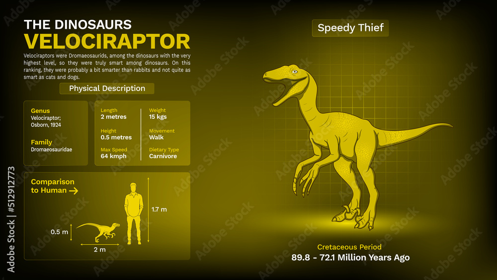 Description and Physical Characteristics of Velociraptor - Vector Illustration Stock Vector ...