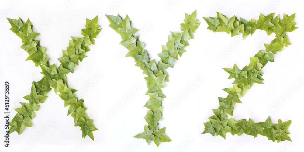 X Y and Z letters from decorative ivy on a white background. Letters X ...