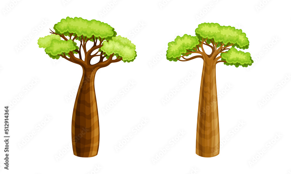 Powerful African baobab trees with green leaves set cartoon vector ...