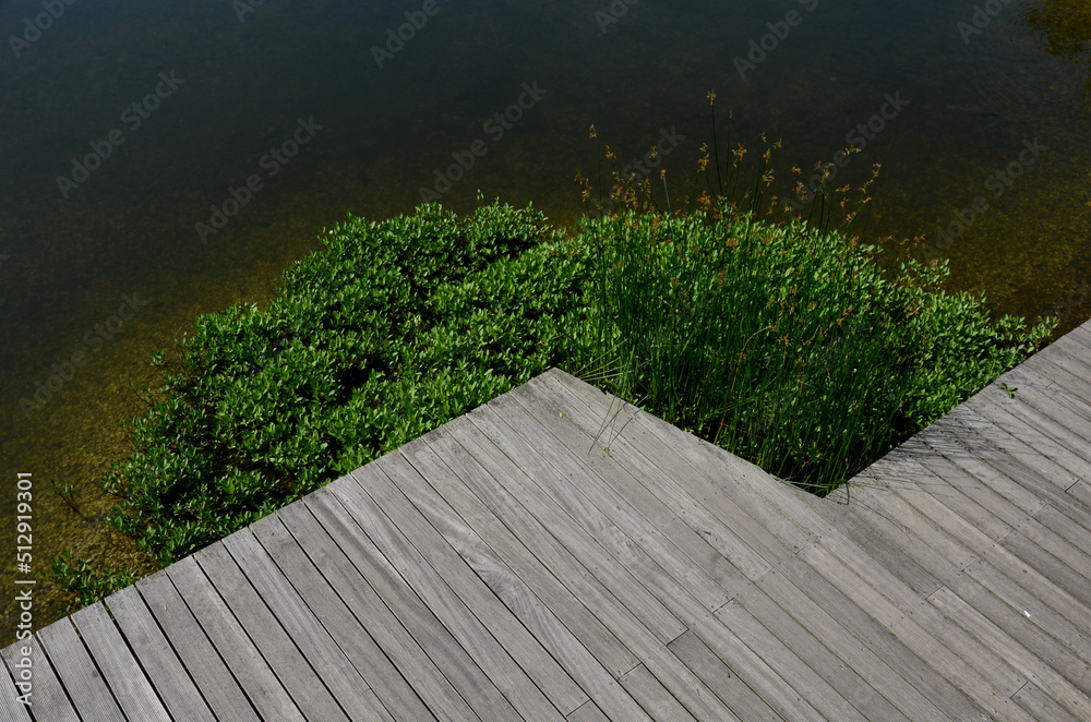 an island with a tree lined with perennials and a fence against entry ...
