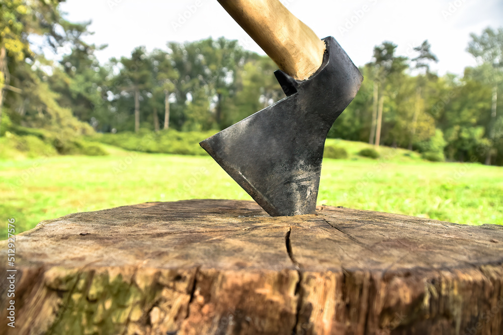 Ax stuck into a dry tree stump, on the background of nature Stock Photo ...