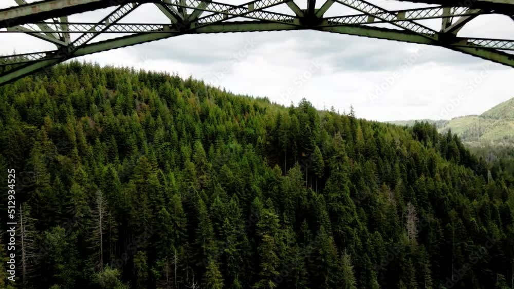 flying below of a bridge and on top of a forest, The High Steel Bridge ...