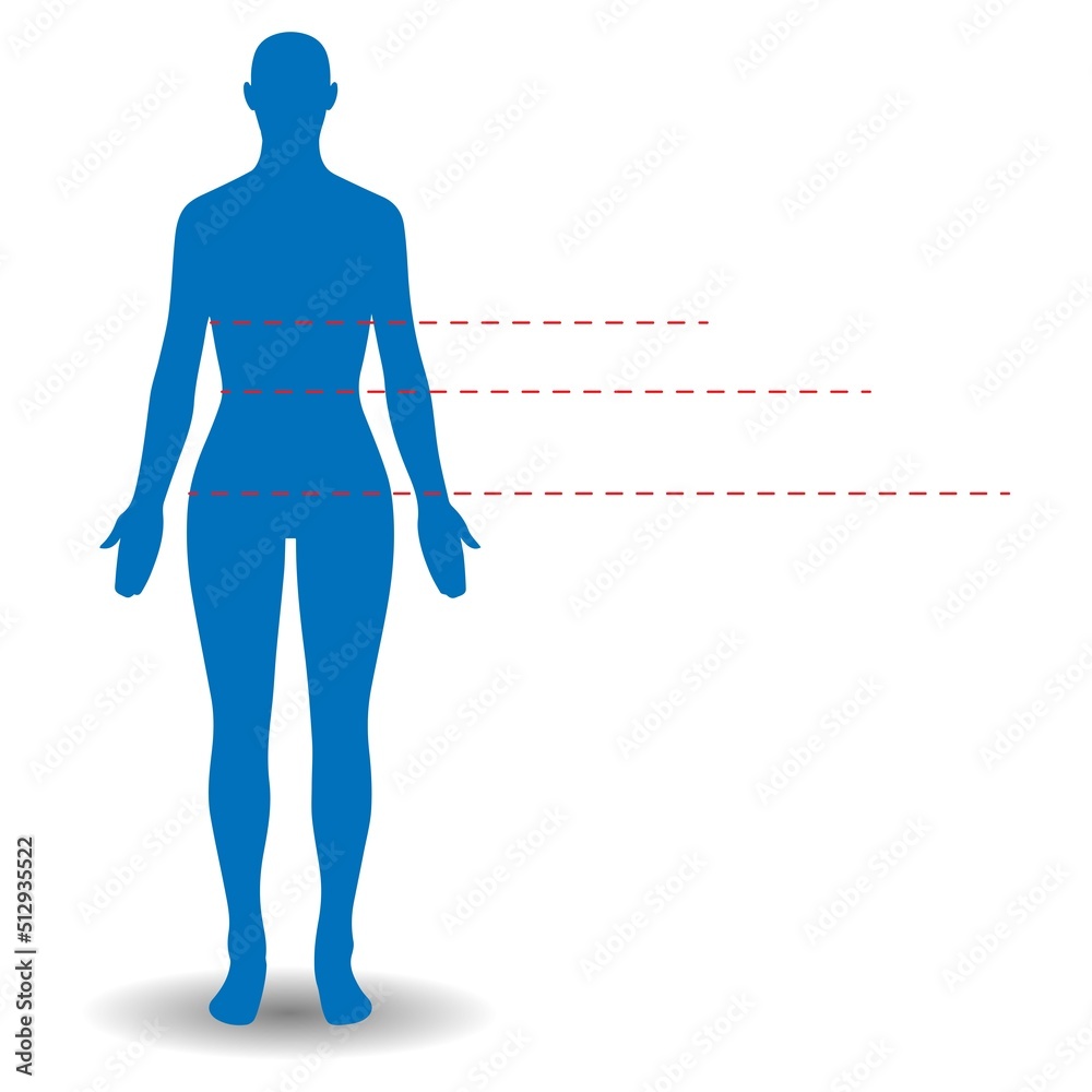 Human body measurement chart vector Stock Vector | Adobe Stock