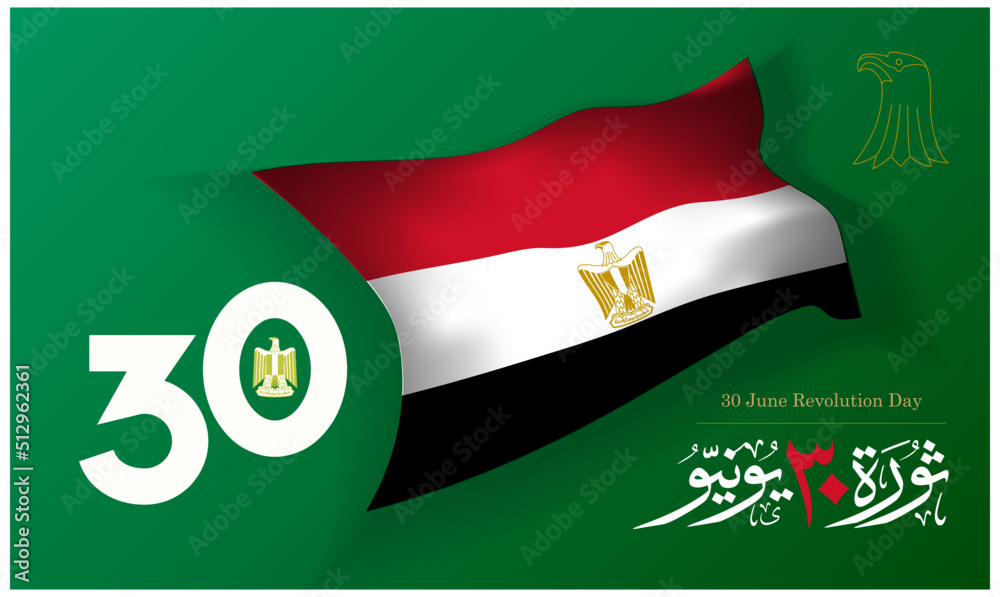 Waving flag of Egypt and Green background and Falcon of Egypt the 30th ...