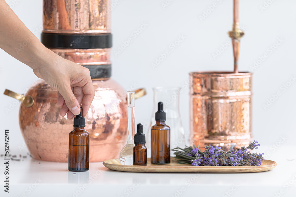 Distillation of lavender essential oil. Copper alambic in a ...