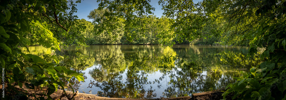 Beauty in nature at one of the lakes in the Tiergarten public park in ...