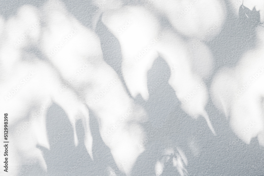 Shadow and sunshine of leaves reflection. Jungle gray darkness leaf ...