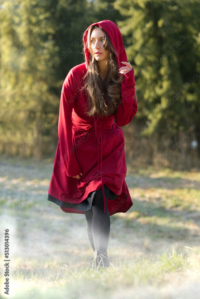 girl in the forrest in red clothes, Little Red Riding Hood, summer ...
