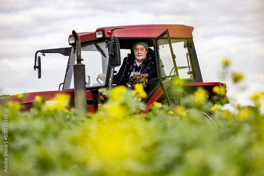 Bauer mit seinem Traktor auf einem Feld Stock Photo | Adobe Stock