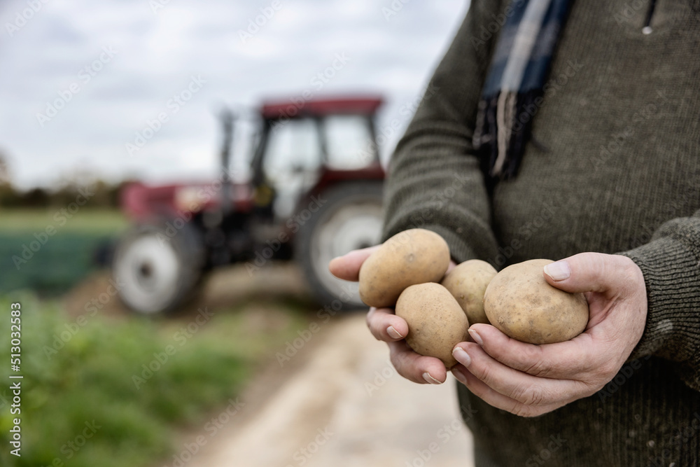 Foto de Hände eines Bauern mit Kartoffeln vor seinem Traktor do Stock ...