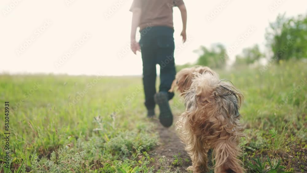 boy walking the dog in the park. happy family pet shaggy puppy kid ...
