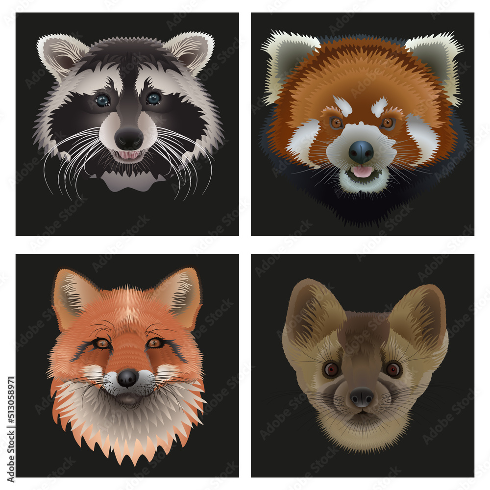Vector illustration set. Animal head on a black background. Red fox ...