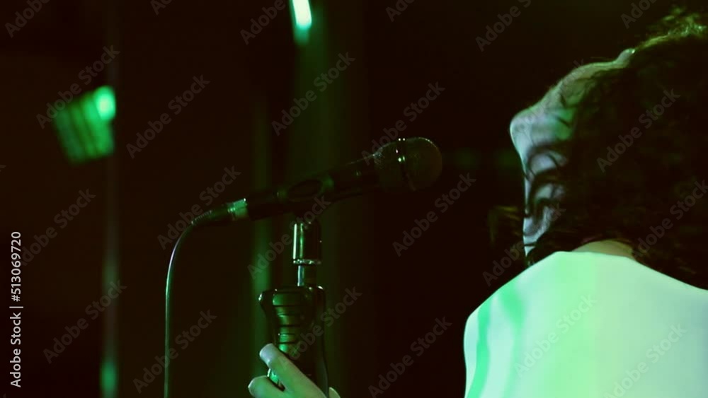 Singing woman with a microphone. Karaoke bar. professional singer Girl ...