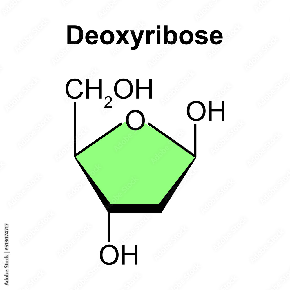 Chemical Structure of Deoxyribose Sugar Molecule. Vector Illustration ...