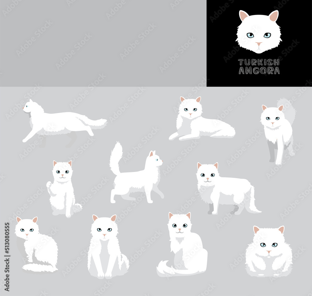 Cat Turkish Angora Cartoon Vector Illustration Color Variation Set ...