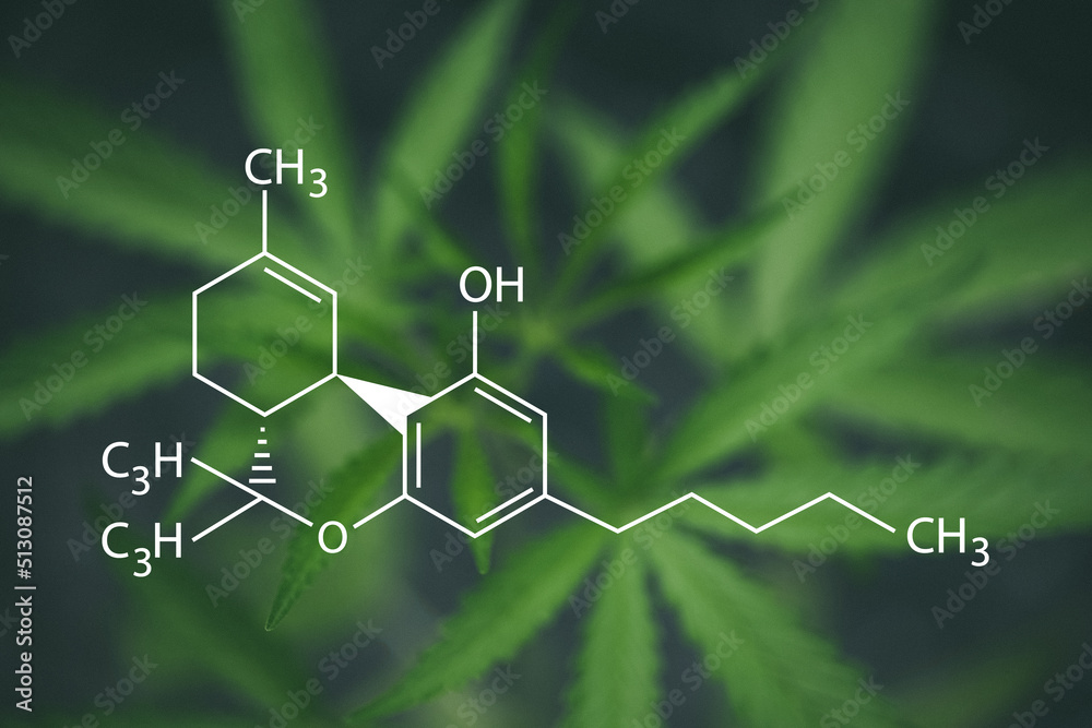 Tetrahydrocannabinol - THC - structural formula. Substance from ...
