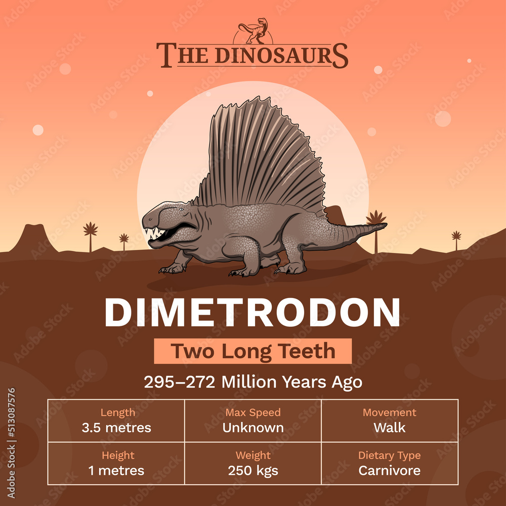 Description and Physical Characteristics of Dimetrodon -Vector ...