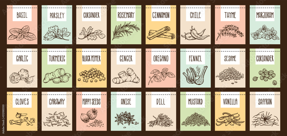 Vector set of stickers for spices. basil, parsley, coriander, rosemary ...
