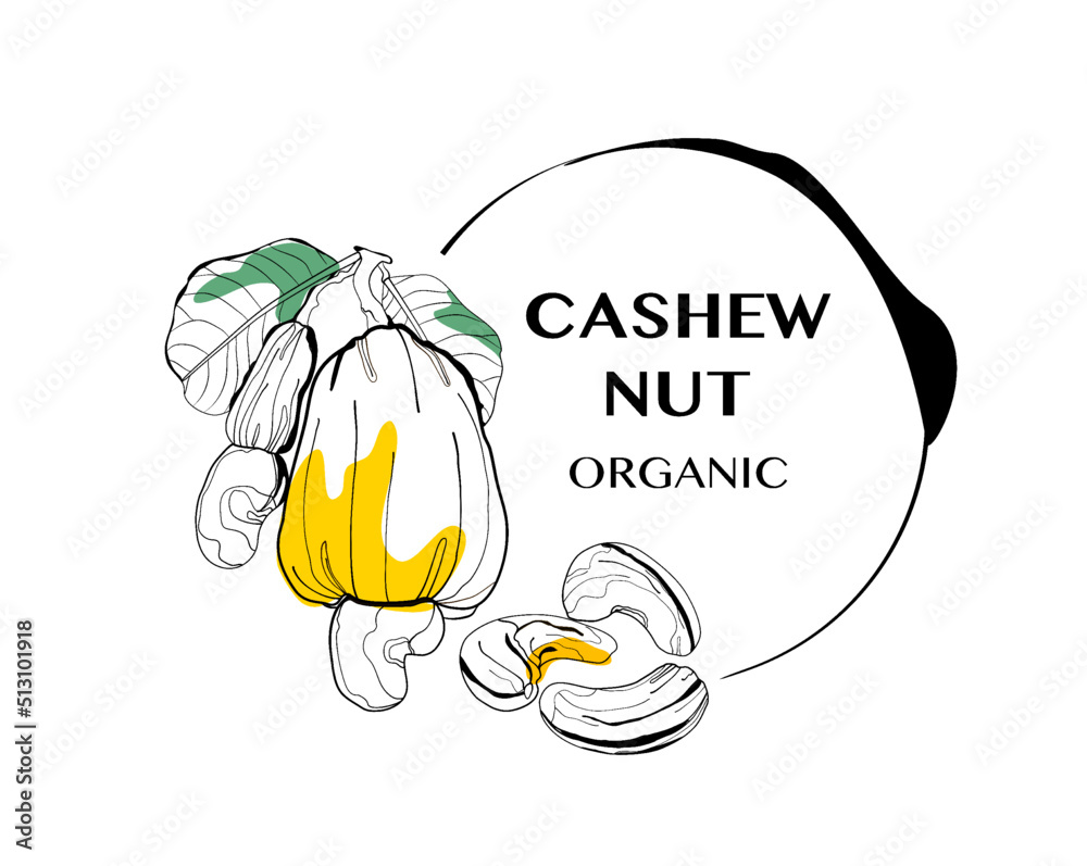 Logo Cashew Hand drawn Stock Vector | Adobe Stock