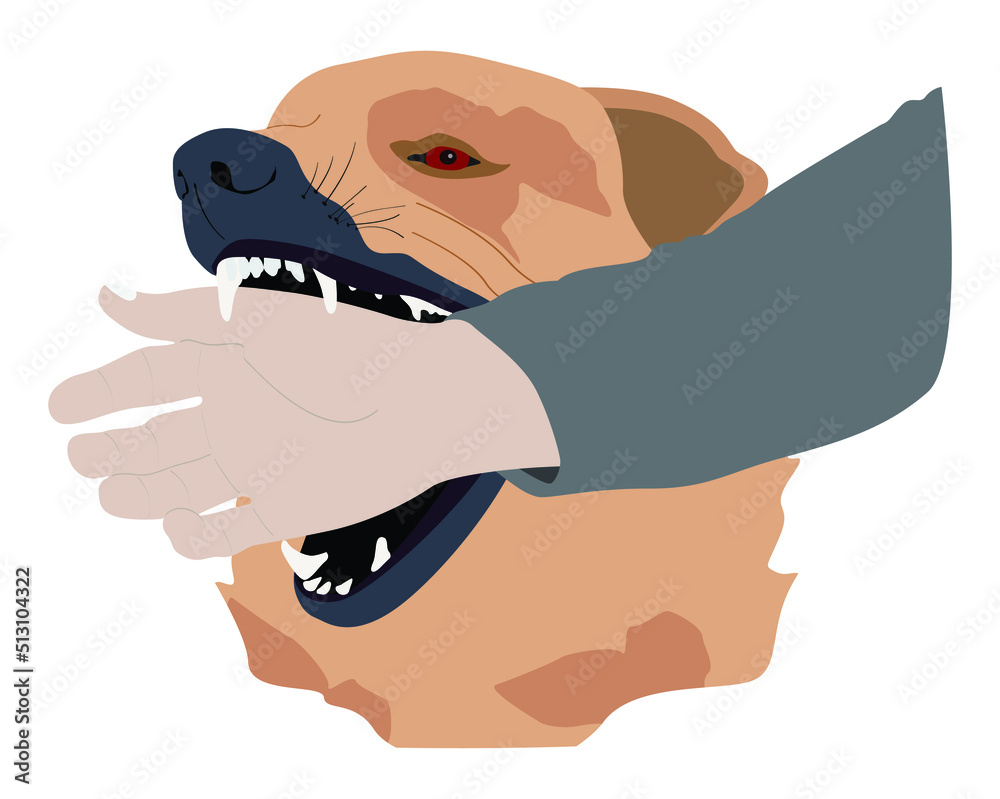 illustration of animal and medication, dog bites human hand, The ...