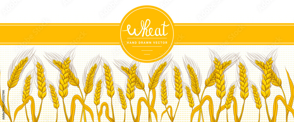 Wheat harvest horizontal banner in hand drawn style on white background ...
