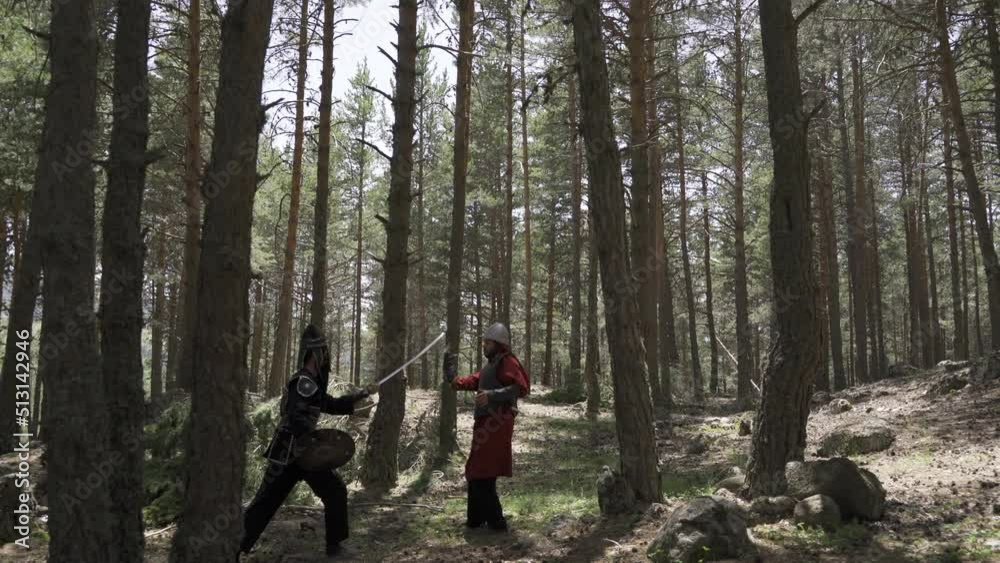 Vidéo Stock Medieval battle scene. Vanguard, historical periods, war ...