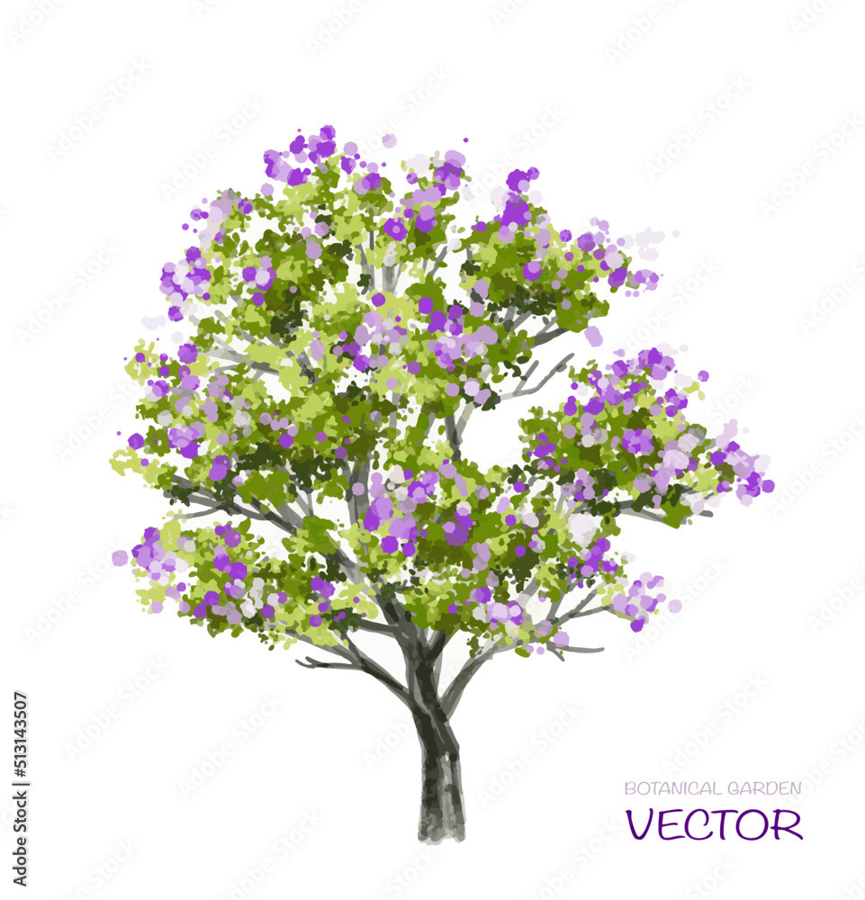 Vector watercolor blooming flower tree side view isolated on white ...
