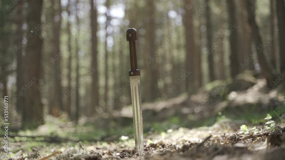 Historical wrought iron sword. Pioneer unit, historical periods, war ...