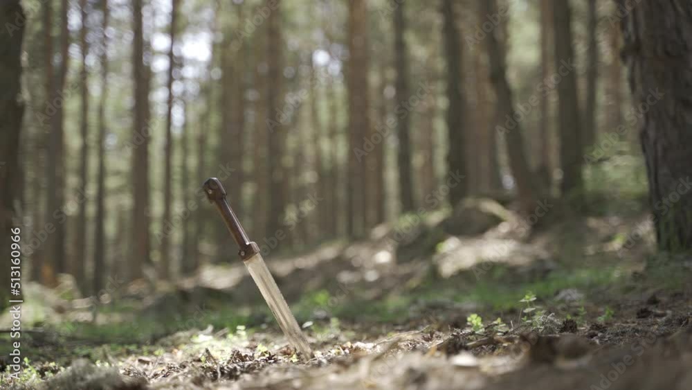 Historical wrought iron sword. Pioneer unit, historical periods, war ...