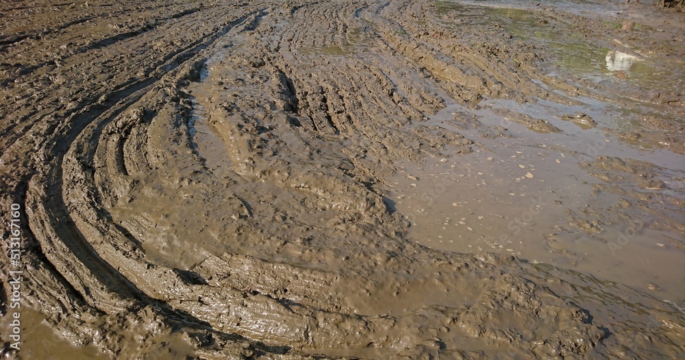 Detail of paddy field mud and puddle with tractor groove curve Stock ...