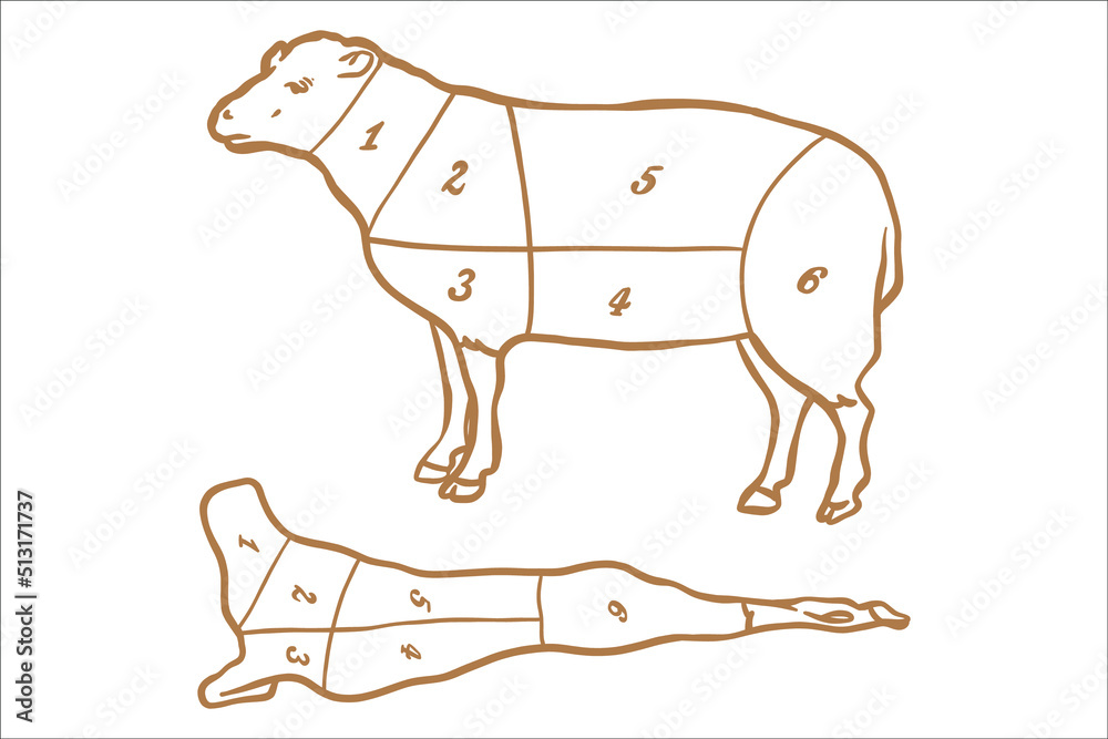 Meat cuts diagram - mutton Stock Vector | Adobe Stock