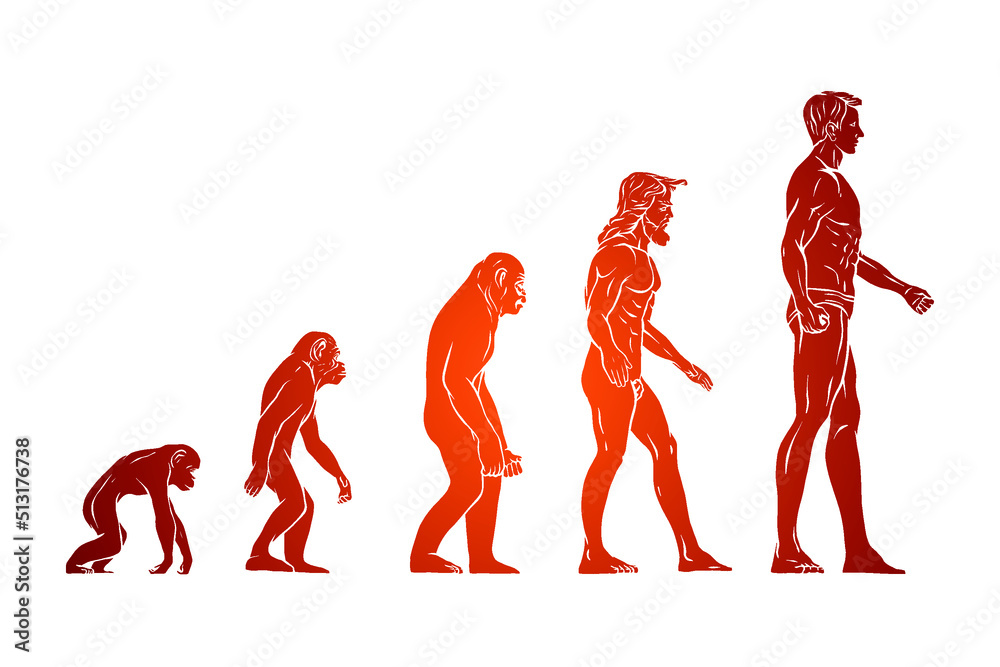 Theory of evolution of man silhouette - Vector illustration - Hand ...