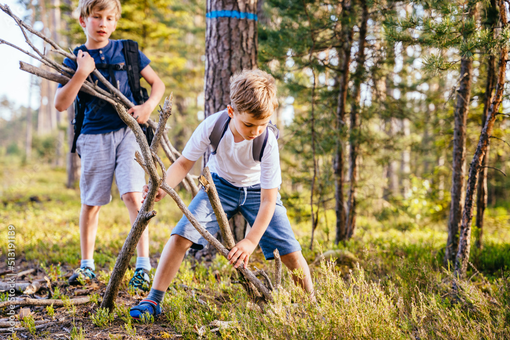 Two boys playing in a forest. Children collecting firewood in summer ...