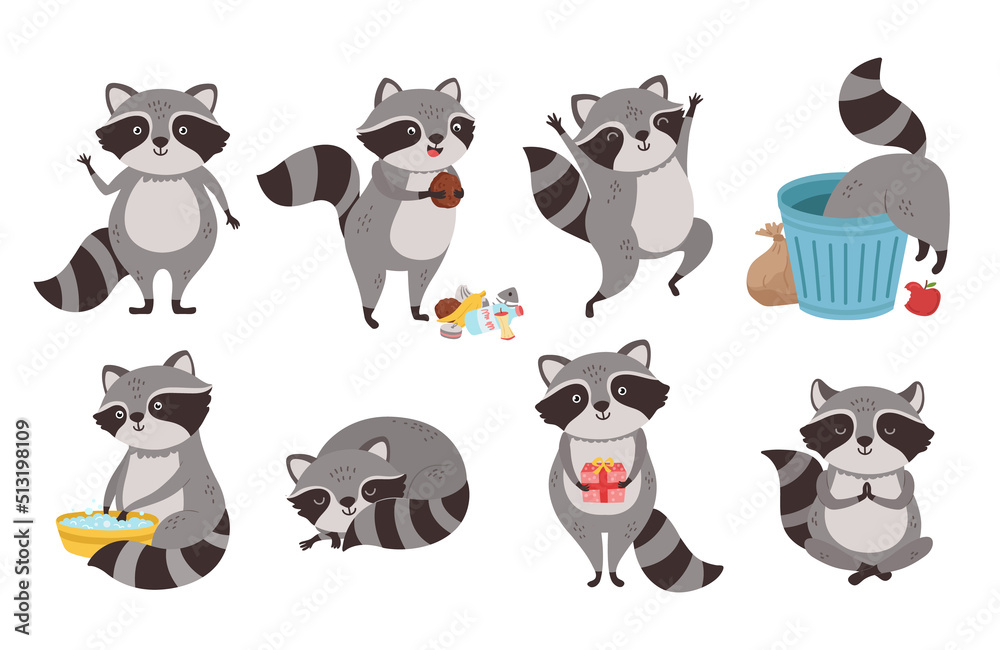 Raccoon character. Funny coon in trash, wild raccoons in different ...