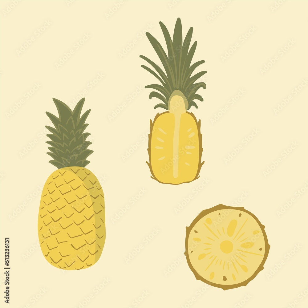 Pineapple vector illustration, set of hand-drawn pineapple clip arts ...