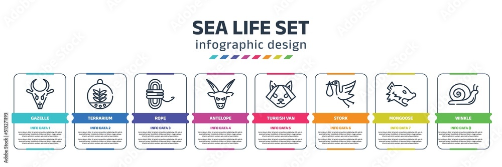 sea life set infographic design template with gazelle, terrarium, rope ...