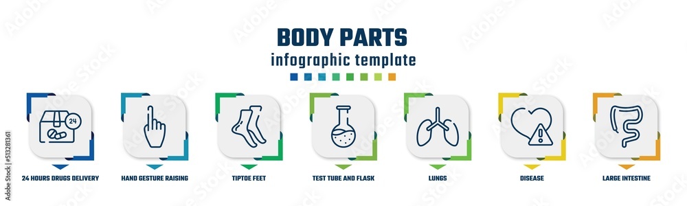 body parts concept infographic design template. included 24 hours drugs ...