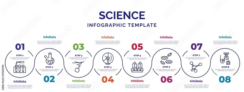 infographic template with icons and 8 options or steps. infographic for ...