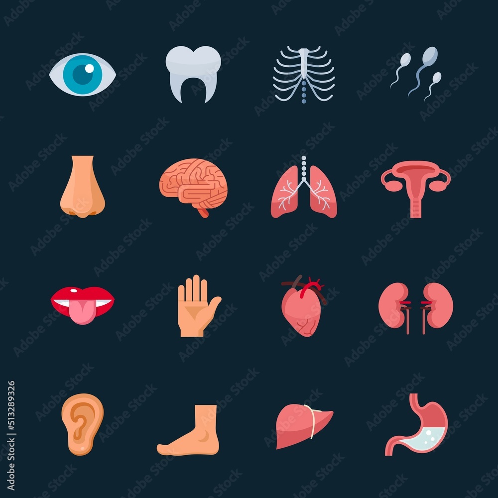 Poster Human Anatomy and Internal Organ Icons with Black Background ...