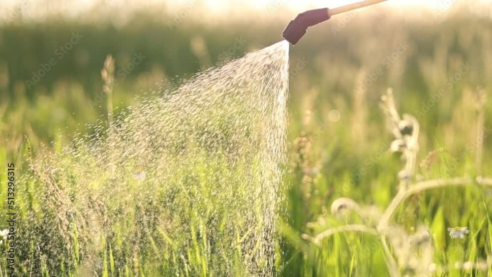 Spray ecological pesticide. spraying toxic pesticides, pesticide ...