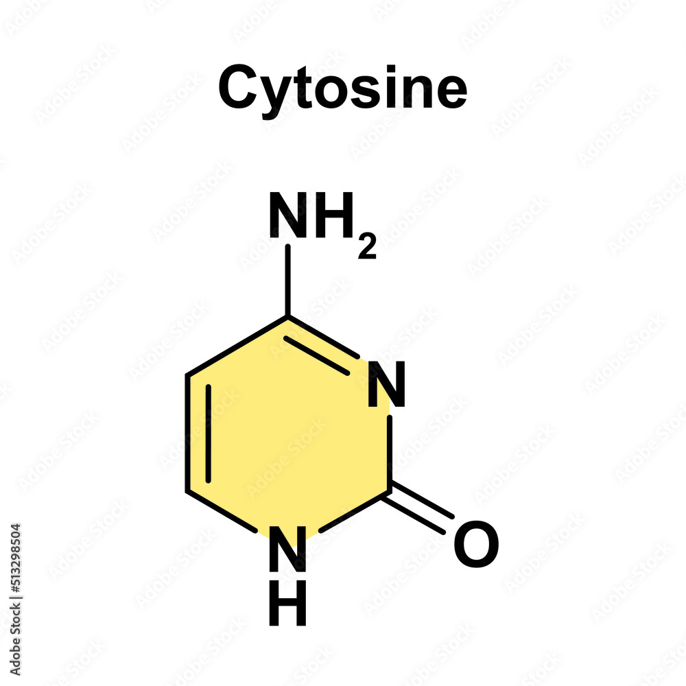Chemical Illustration of Cytosine Molecule. Vector Illustration. Stock ...