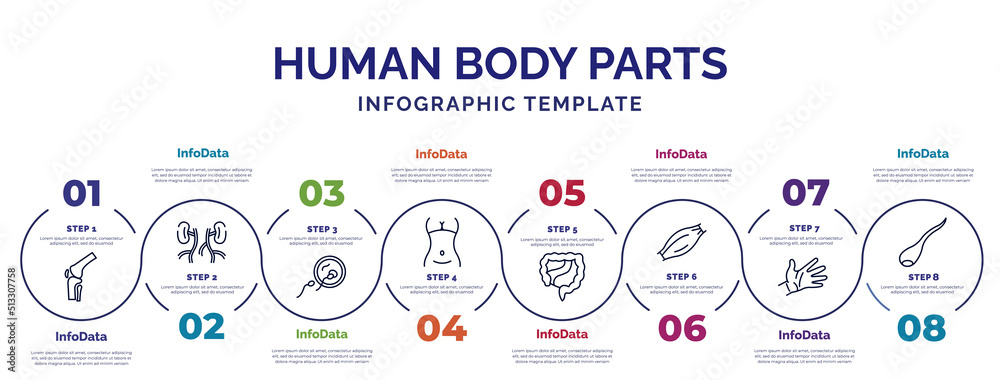 infographic template with icons and 8 options or steps. infographic for ...