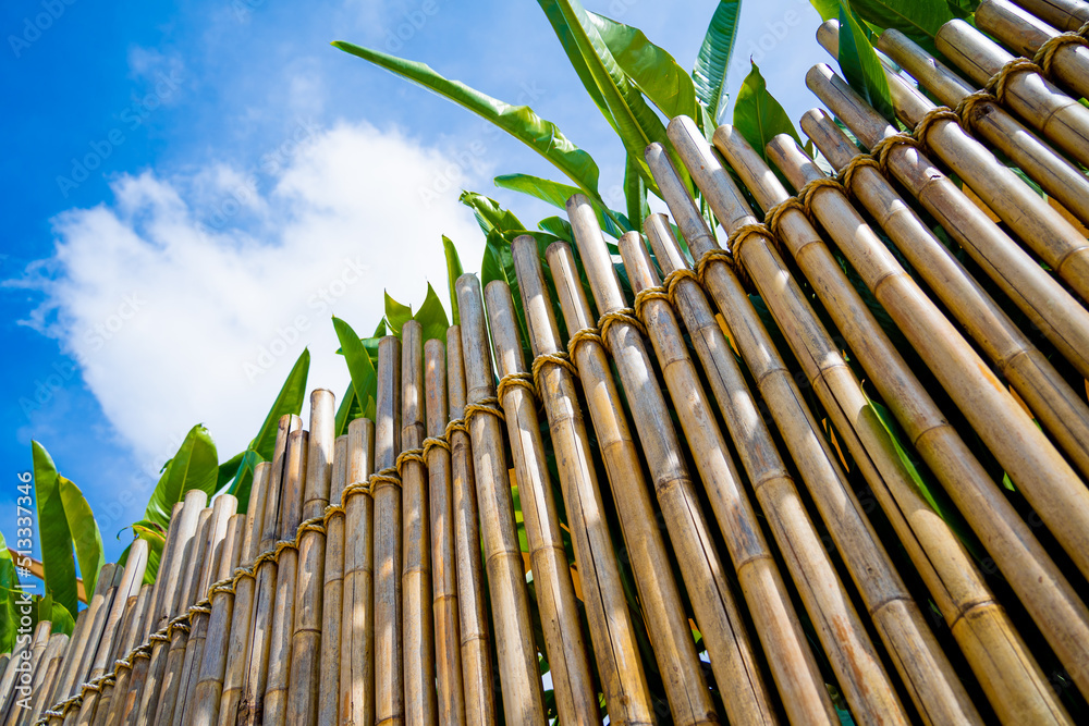 Background and texture of bamboo wall or fence Stock Photo | Adobe Stock