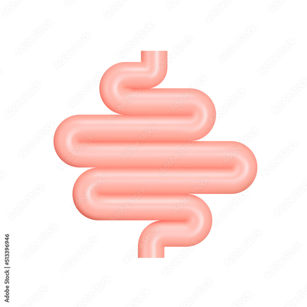 Intestine 3d icon. Guts. Small intestine. Isolated object on a ...