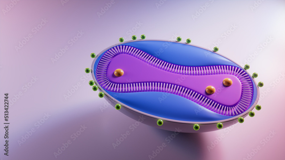 3D Illustration showing the Cell Structure of the Monkeypox Virus. 3D ...