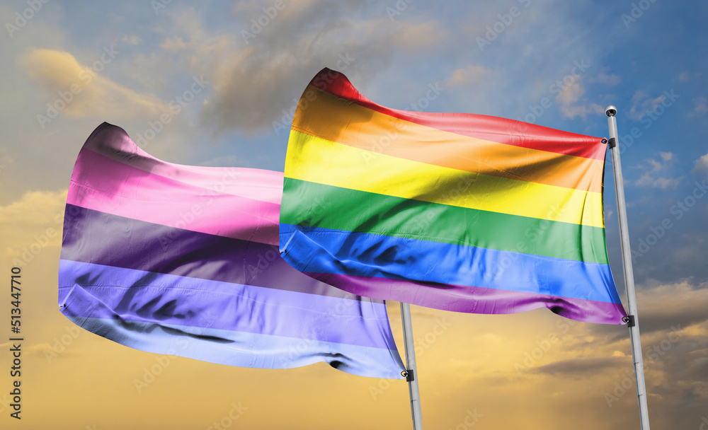 Omnisexual Flag July 6 Omnisexual Visibility Day Omnisexuality Is A