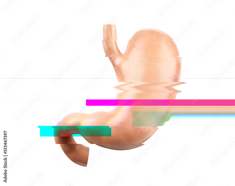 Realistic 3d illustration of anatomical model of human stomach with ...