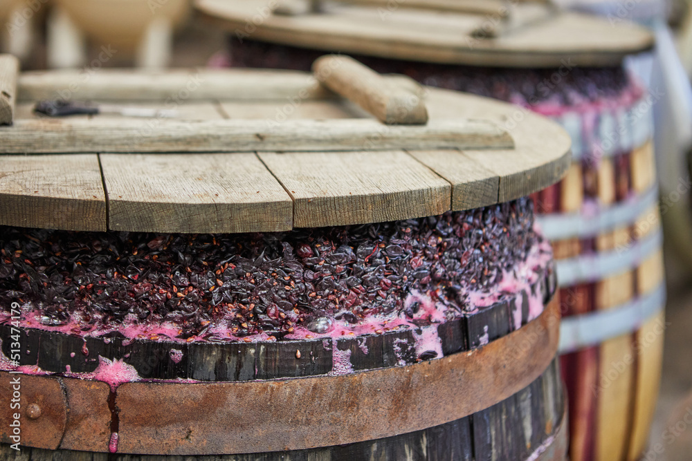fermentation of grapes in a barrel for making wine Stock Photo | Adobe ...