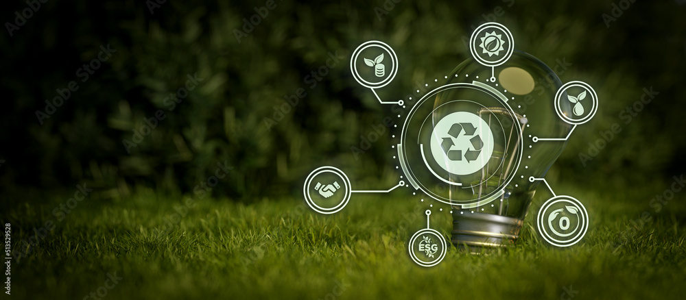 Goals sustainable renewable energy development ecological growth with ...